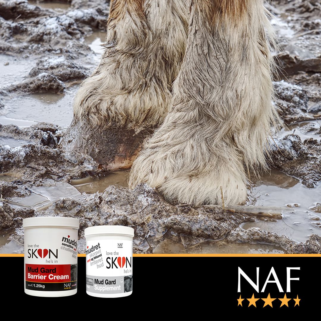 ️Tag kampen op mod mudder ️ – Horse Square