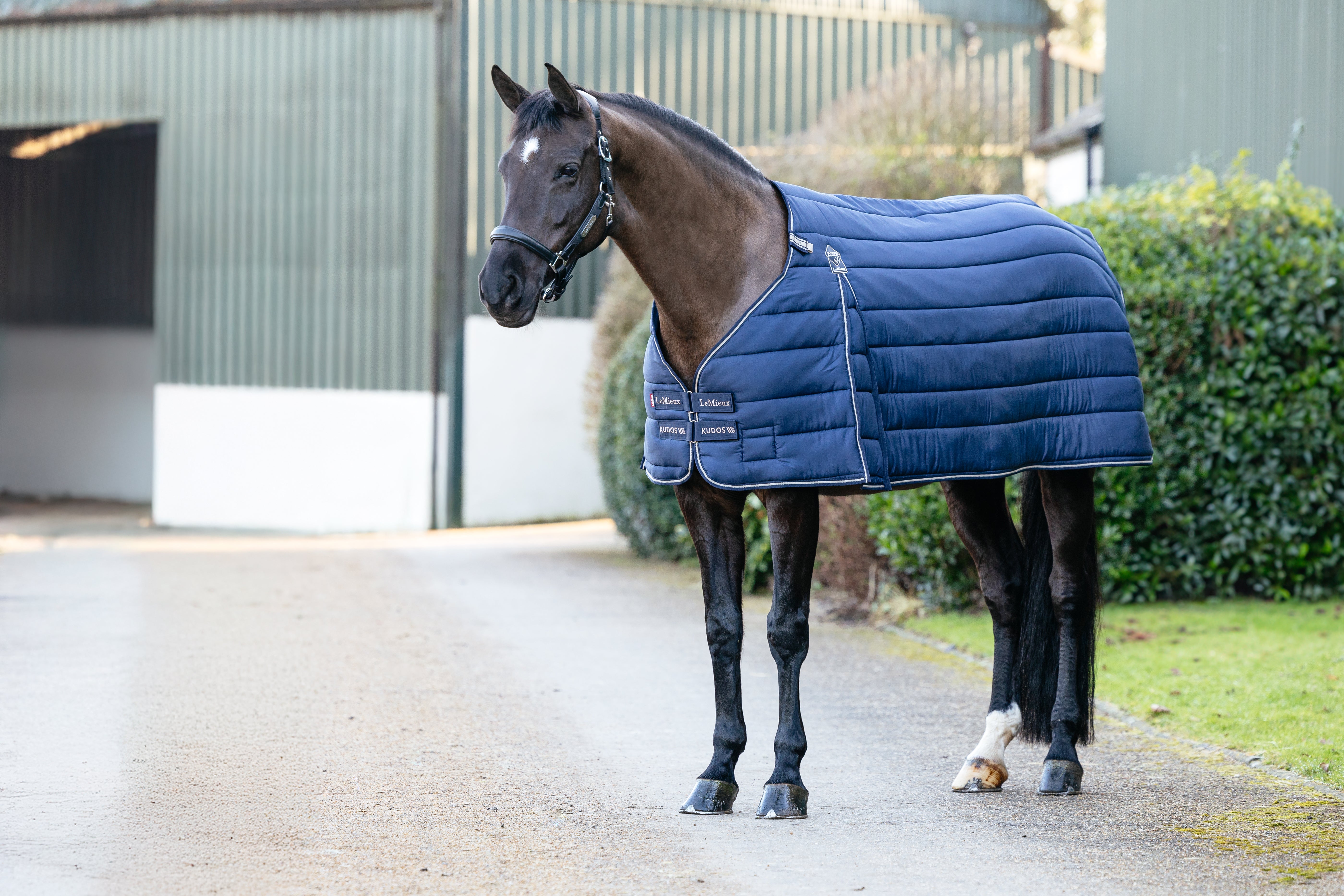 LM Kudos Rug Liner 100g Navy – Horse Square