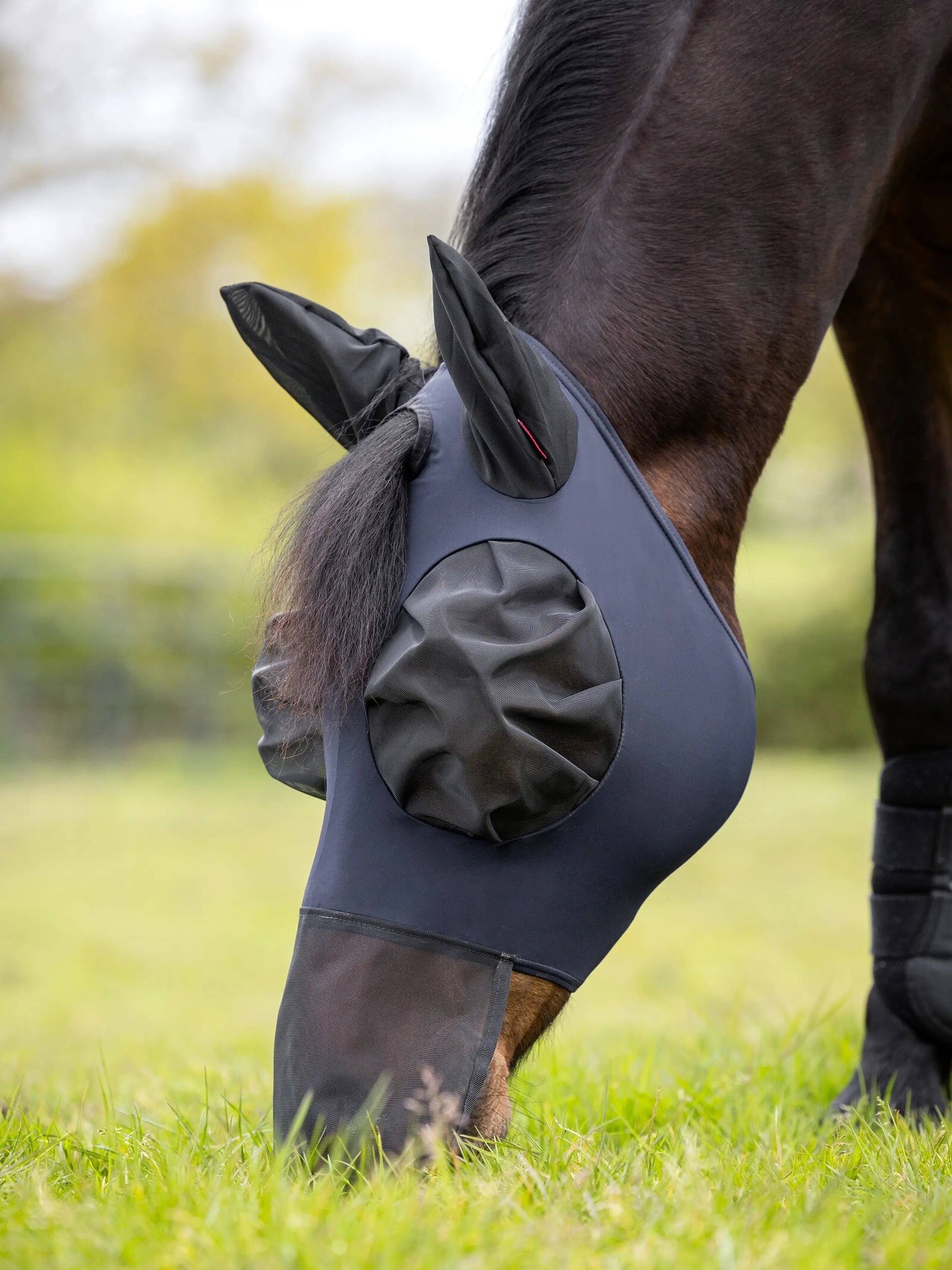 LM CORE Bug Relief Full Mask WALNUT (FRA 26) – Horse Square