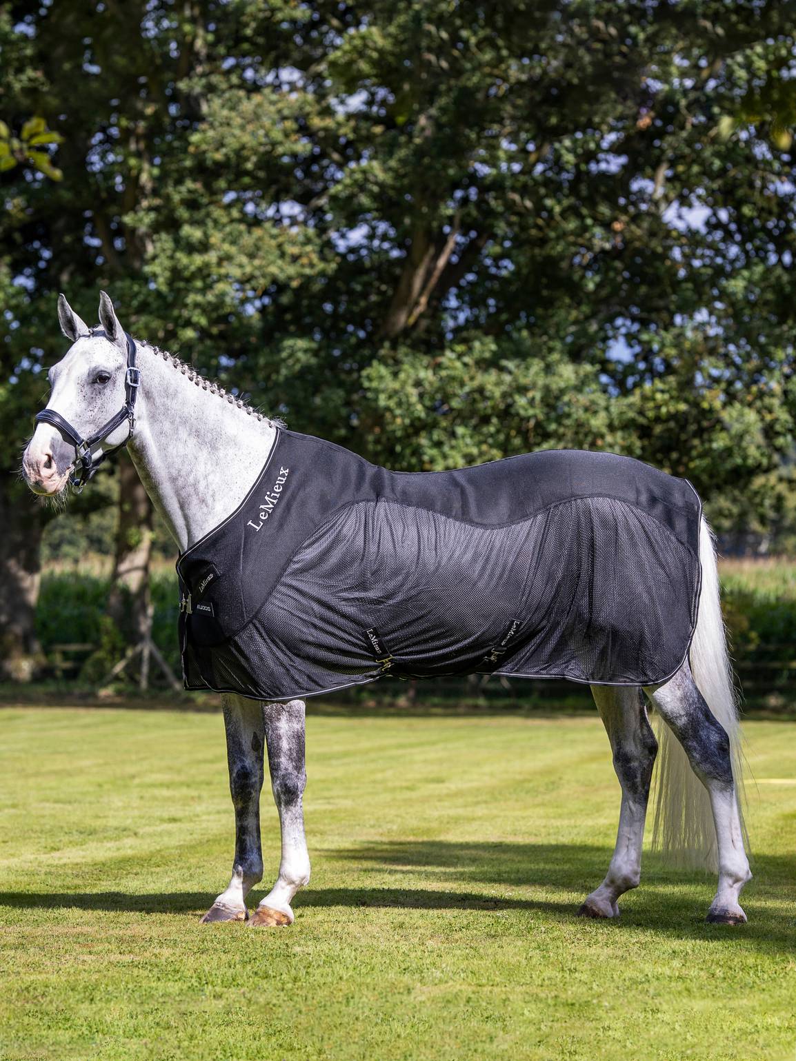 LM Kudos Mesh Sports Cooler Rug Black – Horse Square